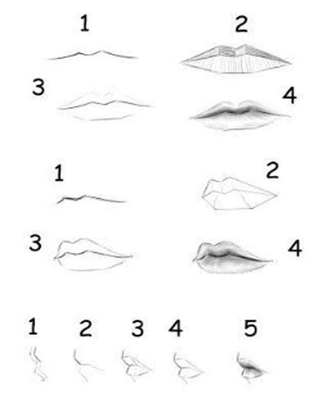 Android 용 Drawing Lips Tutorial Step By Step Apk 다운로드
