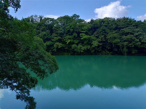 静かな長瀞です 長瀞カヌーテ