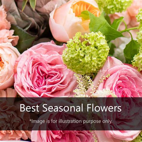 Best Seasonal Flowers Flower Delivery Corunna On Lapiers Flowers And Ts