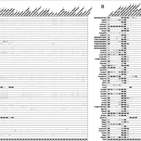 Of The Human And Mouse Rna Seq Samples Used In The Identification Of