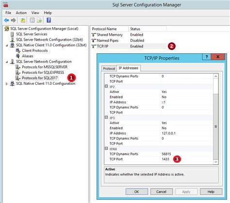 Java Cannot Connect To Sql Server Database With Netbeans