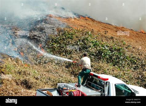 Firemen Fighting A Small Brush Fire In The Atlanta Area With Water And Safety Equipment Stock