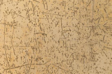 Concrete Texture Close Up Macro Photo Of Gray Concrete Stock Image Image Of Detail Closeup