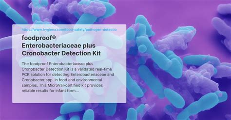 Foodproof® Enterobacteriaceae Plus Cronobacter Detection Kit Hygiena