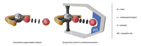 Designer Catalyst With Enzyme Like Cavity Splits Water Almost As Fast