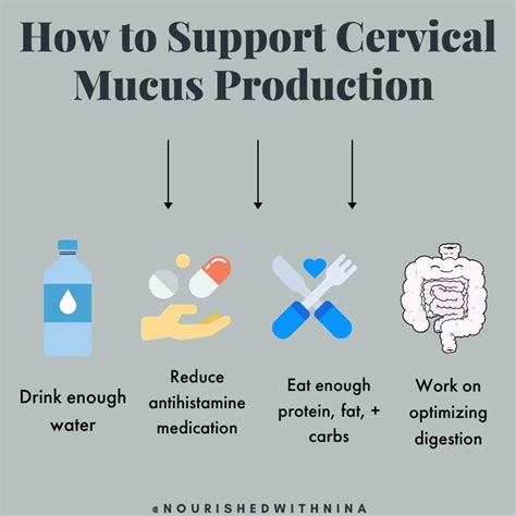 Supporting Cervical Mucus For Pregnancy · Nourished With Nina