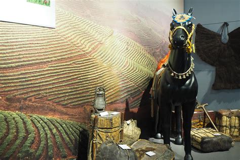 展讯丨国内规模最大 茶马古道”展亮相宁波原创热点品牌栏目浙江视界每日关注 展讯丨国内规模最大 茶马古道”展亮相宁波原创热点品牌栏目浙江视界每日关注