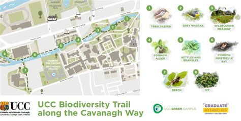 Biodiversity Map And Trail University College Cork