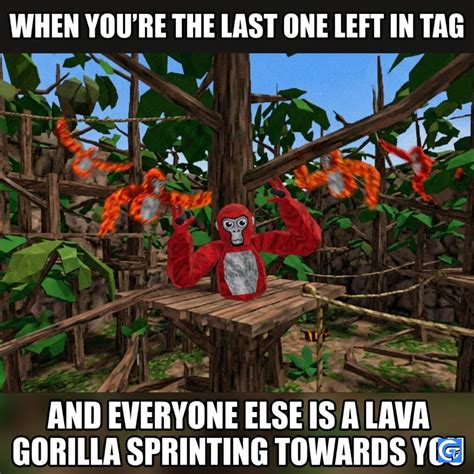 Gorilla Tag Meme Templates S And Hd Images You Cant Miss Buon 