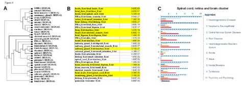 Clustering Tissues Into Groups Based On Expression Patterns A