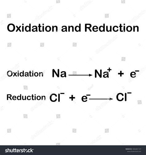 Oxidation Reduction Reactions Examples Stock Vector Royalty Free