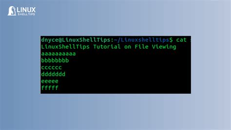 How To View Files In Linux Using Cat More Or Less Commands