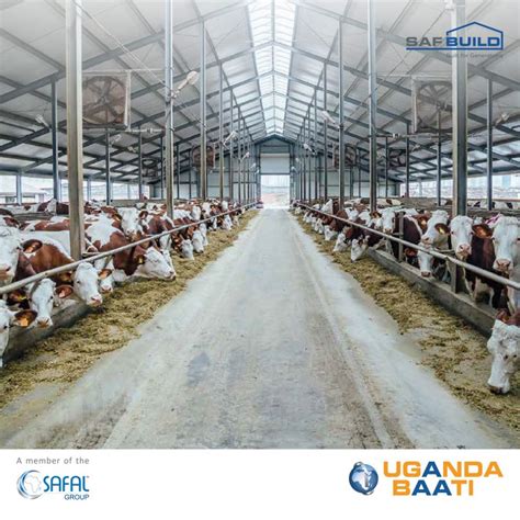 Beth Wambui Posted On Linkedin