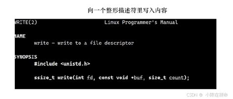 Linux系统编程:基础iolinux 菜鸟驿站 Csdn博客 Linux系统编程:基础iolinux 菜鸟驿站 Csdn博客