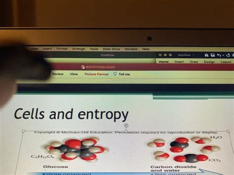 Biology Chapter 6 Flashcards Quizlet