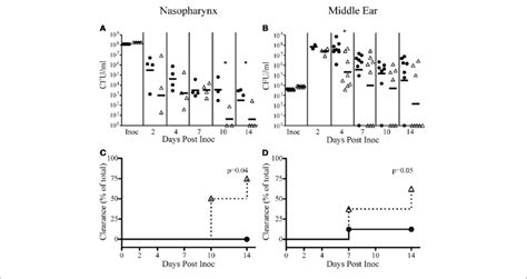 Sapf Is Required For Colonization Of A Mammalian Host And Infection Download Scientific