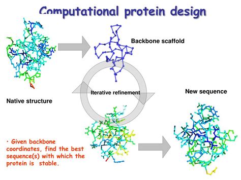 Ppt In Silico Protein Design Implementing Dead End Elimination Algorithm Powerpoint