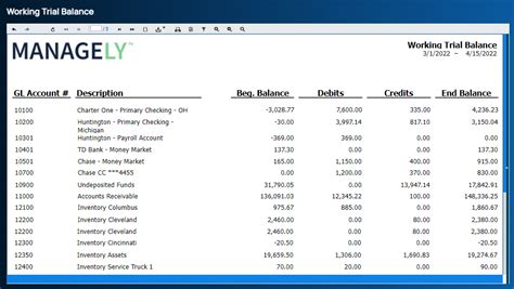 Working Trial Balance Report Managely Knowledge Base