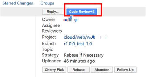 Gerrit设置给指定分支指定组代码审核2的权限 走看看