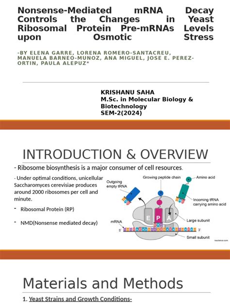 Nonsense Mediated Mrna Decay Control Pdf Messenger Rna Intron