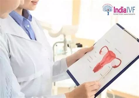 Best Ovulation Induction Treatment In India Ovulation Induction Treatment Procedure