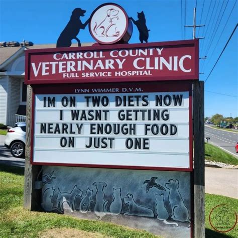 Funny Outdoor Signs Holly Ridge Veterinary Hospital Artofit