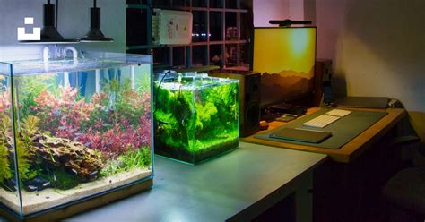 테이블 위에 앉아있는 두 개의 어항 사진 Unsplash의 무료 수족관 이미지