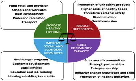 The Equity Oriented Obesity Prevention Framework Adapted From Download Scientific Diagram