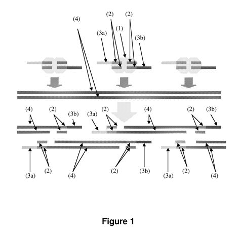 library member identification patented technology retrieval search results eureka patsnap