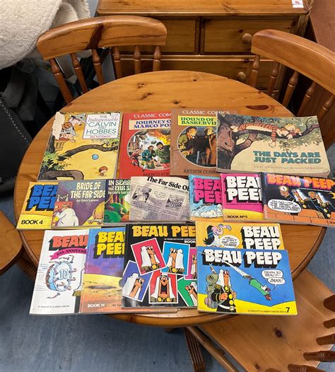 Collection Of Adult Comic Books Including Beau Peep And Far Side