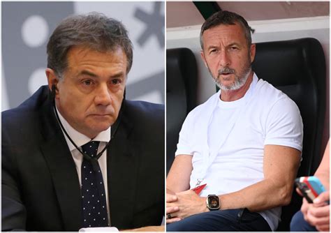 Kyros Vassaras Delegare în Ciuda Lui Mihai Stoica