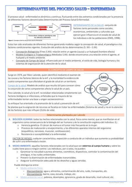 Determinantes Del Proceso Salud Y Enfermedad Julieta Udocz
