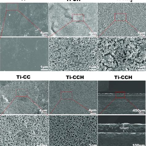 Sem Images Showing The Surface Morphology Of Ti Ti Oh Ti Nh 2