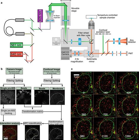 Single Molecule And Super Resolution Confocal Microscopy Of The Same