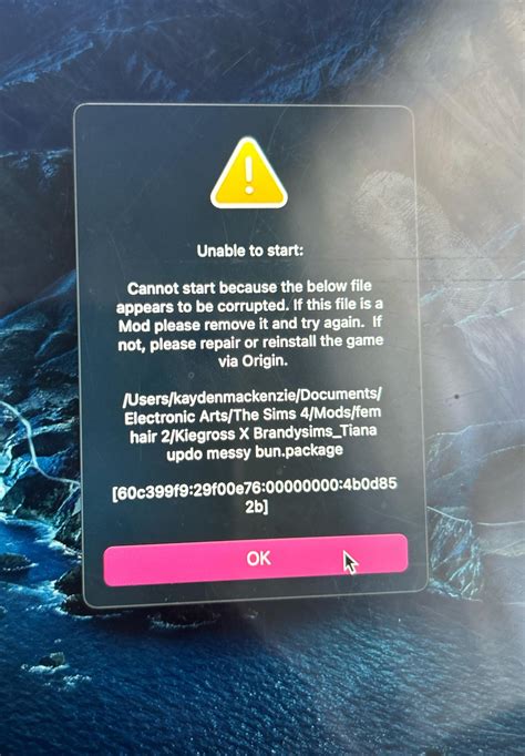 Corrupted Mod Files R Thesims4mods