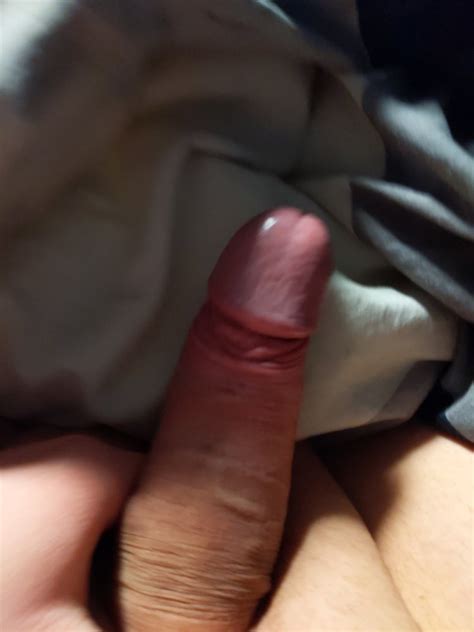 Cock Pictures My Cock Is Dripping Pics Xhamster