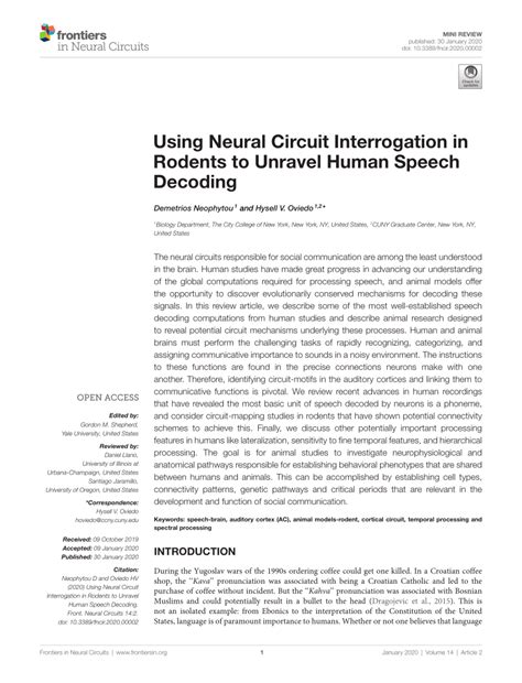 Pdf Using Neural Circuit Interrogation In Rodents To Unravel Human Speech Decoding Researchgate