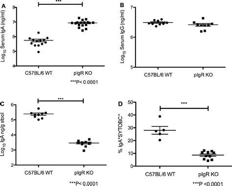 Elevated Serum Iga Decreased Stool Iga And Decreased Iga Coating Of Download Scientific