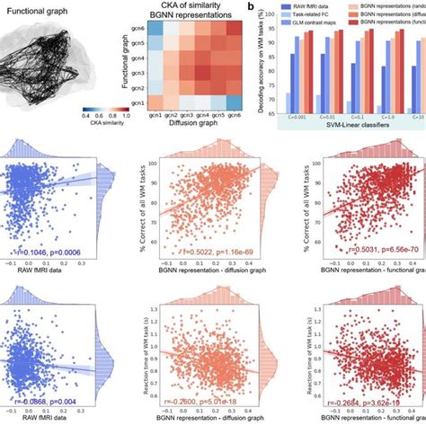 Interpretable Representations Of Connectome Constrained Bgnn Improved