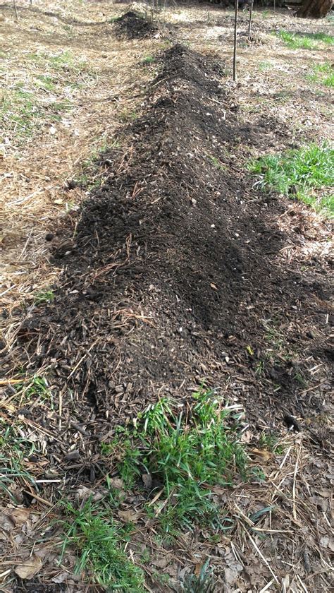 Perimeter Permaculture Berm Seeding