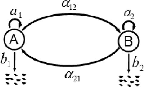 The Bidirectional Phenotypic Transition Cascade A Schematic Diagram Of