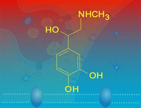 Basics Of Hormone Classification Interactive Biology With Leslie Samuel
