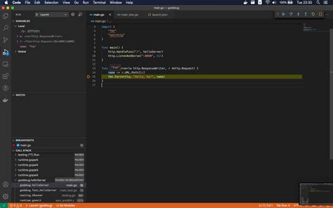 Debugging Go Server With VS Code Cozi