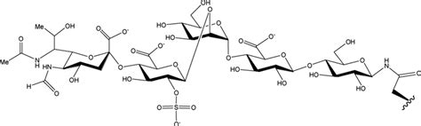 Structure Of The N Linked Glycan Of Haloarchaeal Pleomorphic Virus 1 Download Scientific