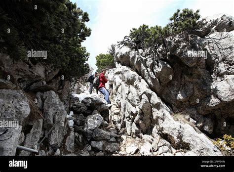 Hiking In Risnjak National Park In Gorski Kotar Croatia On April 24