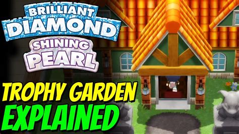 Pokemon Brilliant Diamond Trophy Garden At Enriqueta Yetter Blog