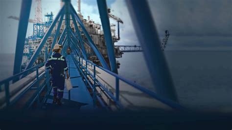 Services Ii Subsurface Dynamics Reservoir Engineering