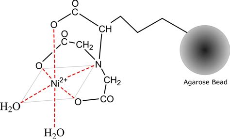 Nickel Nta Fplc Columns Biotrend