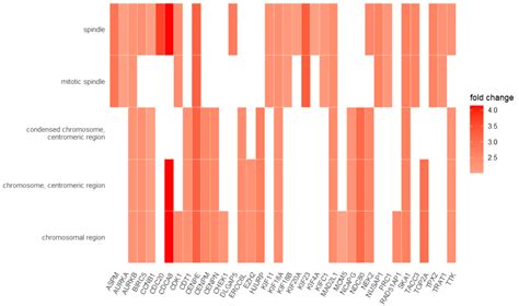 Clusterprofiler包富集分析与可视化 Lis Bioinfo Blog Clusterprofiler包富集分析与可视化 Lis Bioinfo Blog
