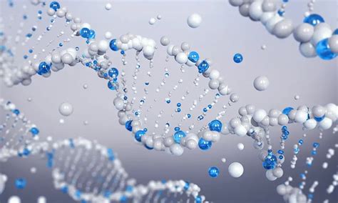 核酸医薬品分析｜先進的ソリューション｜試験・サービス｜メディフォード株式会社